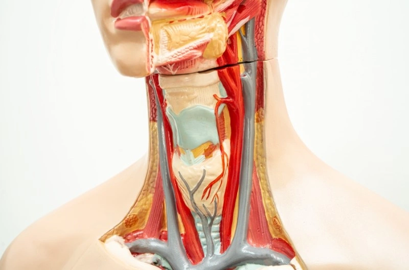 Medical Device Engineering & Product Development-SARACA